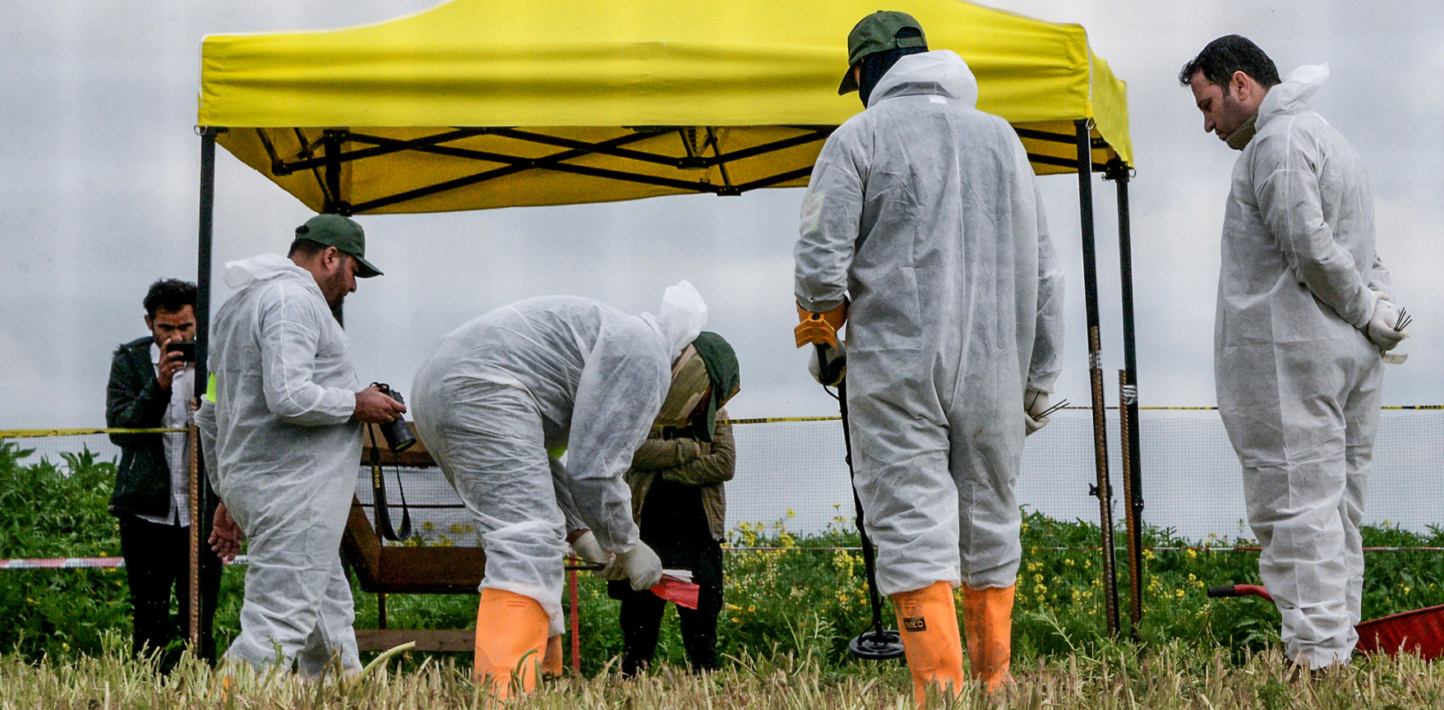 International Justice Day: Harnessing the Rome Statute and ...